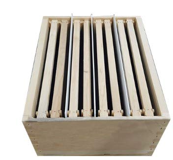 Beekeeping Queen Castle – East Coast Bees