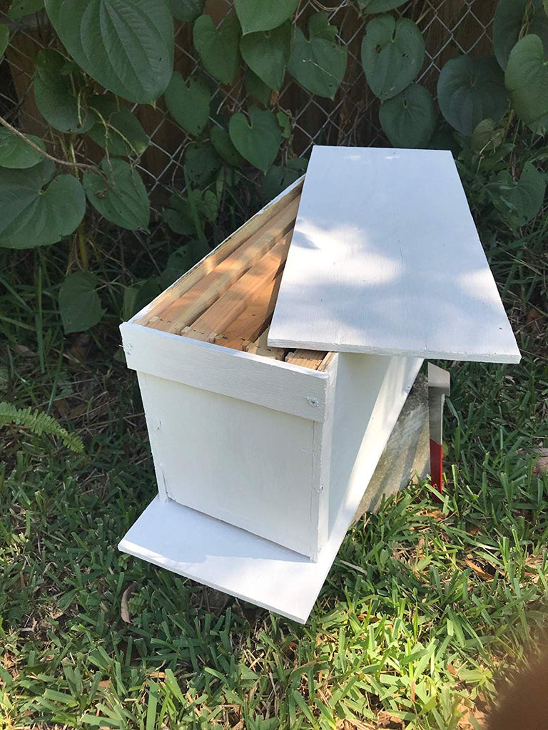 Complete 5 Frame Beekeeping Starter Kit – East Coast Bees